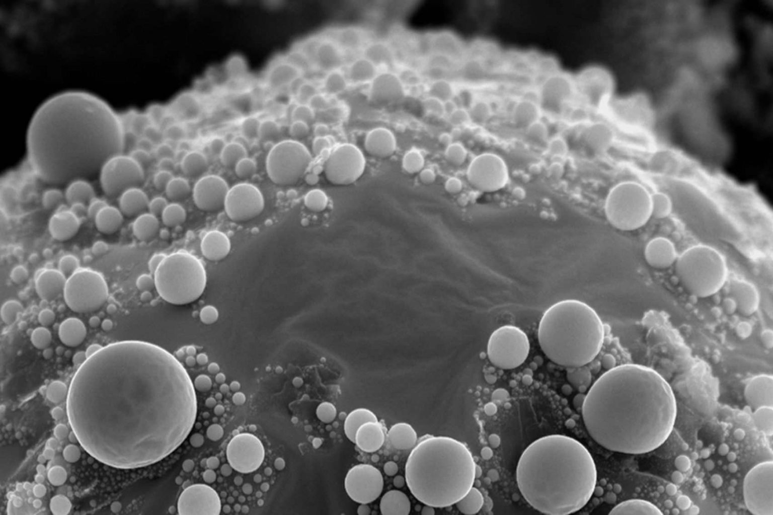 YPS - York Probe Sources